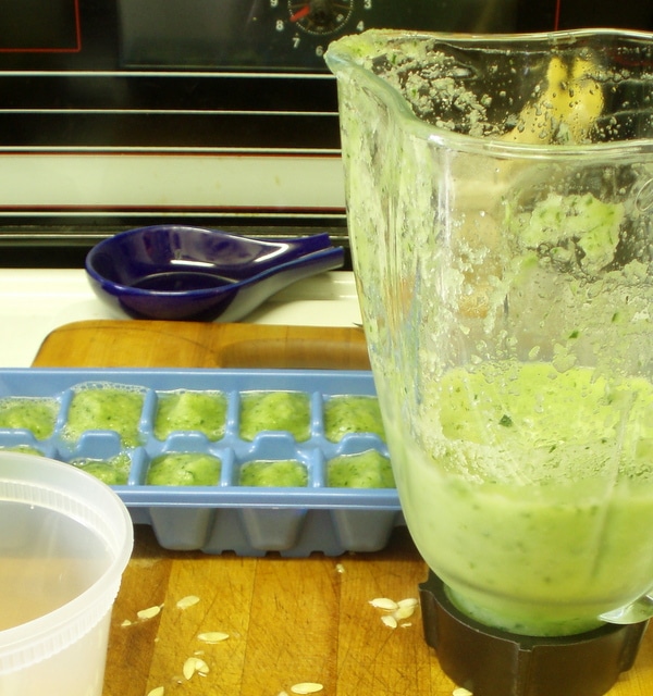 Cucumber Mousse - and Freezing Cucumbers! - Inhabited Kitchen