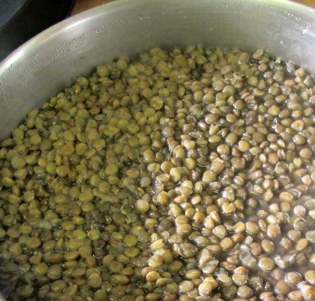Just One Pot of Lentils - Inhabited Kitchen