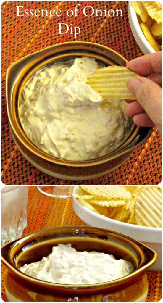 Essence of Onion Dip - Inhabited Kitchen