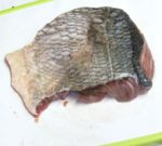 Fresh Wild Bluefish - Inhabited Kitchen