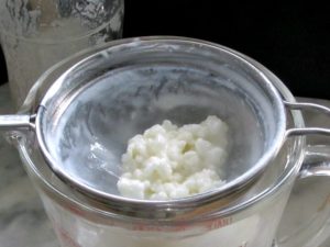Homemade Milk Kefir - Part 2 - Inhabited Kitchen